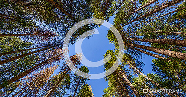 How secure is watermarking? What you need to know about watermarking ...